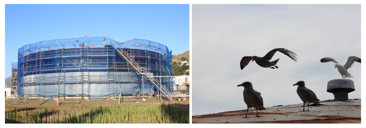 New purpose built facility for Road Science Tauranga - Road Science